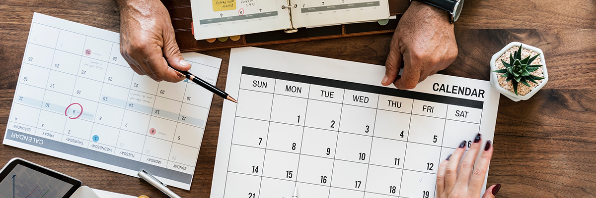 Online Training Calendar 2024 | XCalibre Training Centre